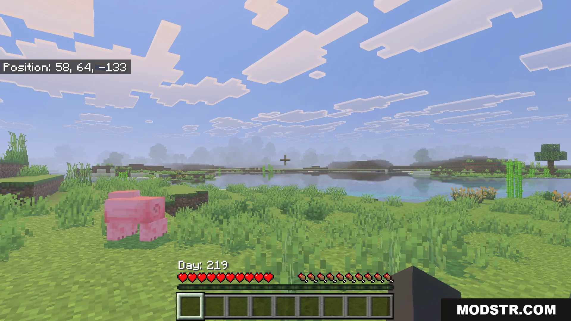 Better Days Played Texture Pack (26.x) – Move Coordinates And Days ...