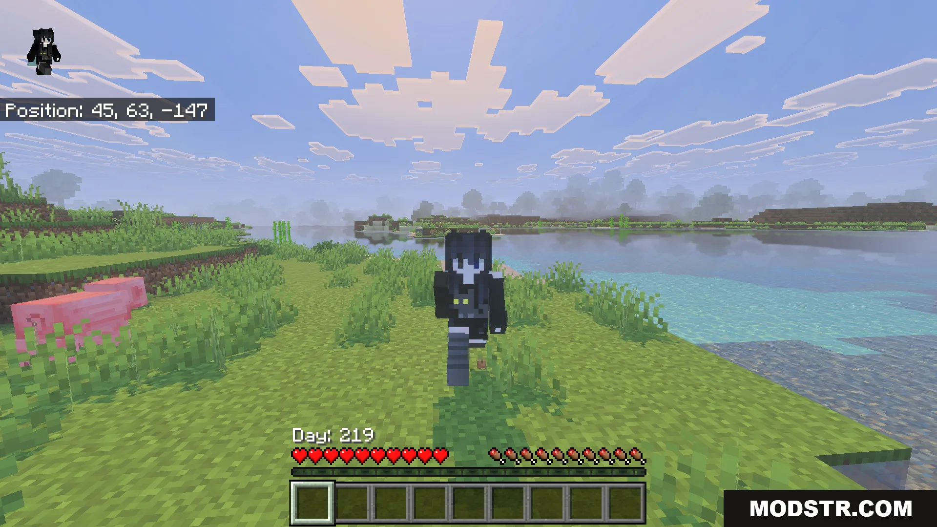 Better Days Played Texture Pack (26.x) – Move Coordinates And Days ...
