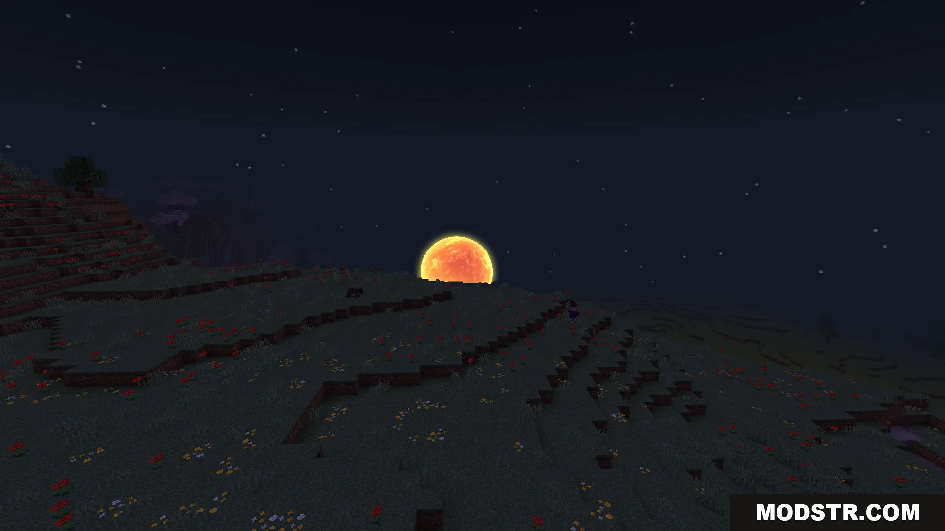 Newb X Manyzz Lite Shader (26.X) – Warm Skies And Smooth Frames On Old ...