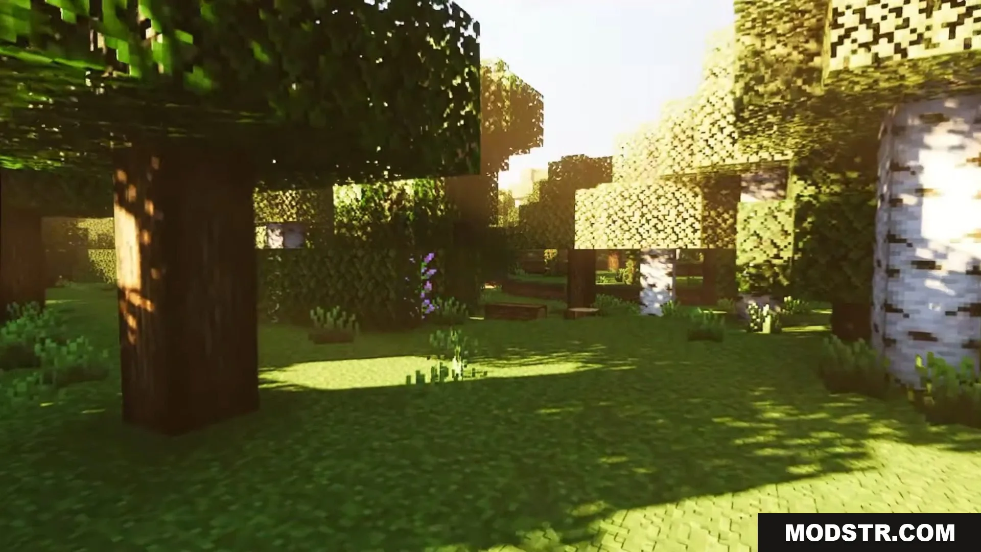 Strawberry Deferred Shader (1.21, 1.20) – MCPE/Bedrock — Shaders — modstr