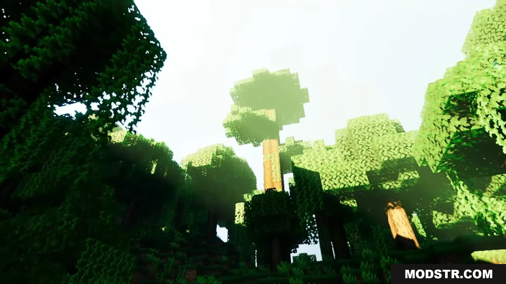 Strawberry Deferred Shader (1.21, 1.20) – MCPE/Bedrock — Shaders — modstr